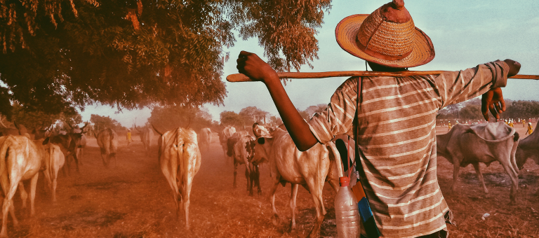 About Drive – ZEP-RE