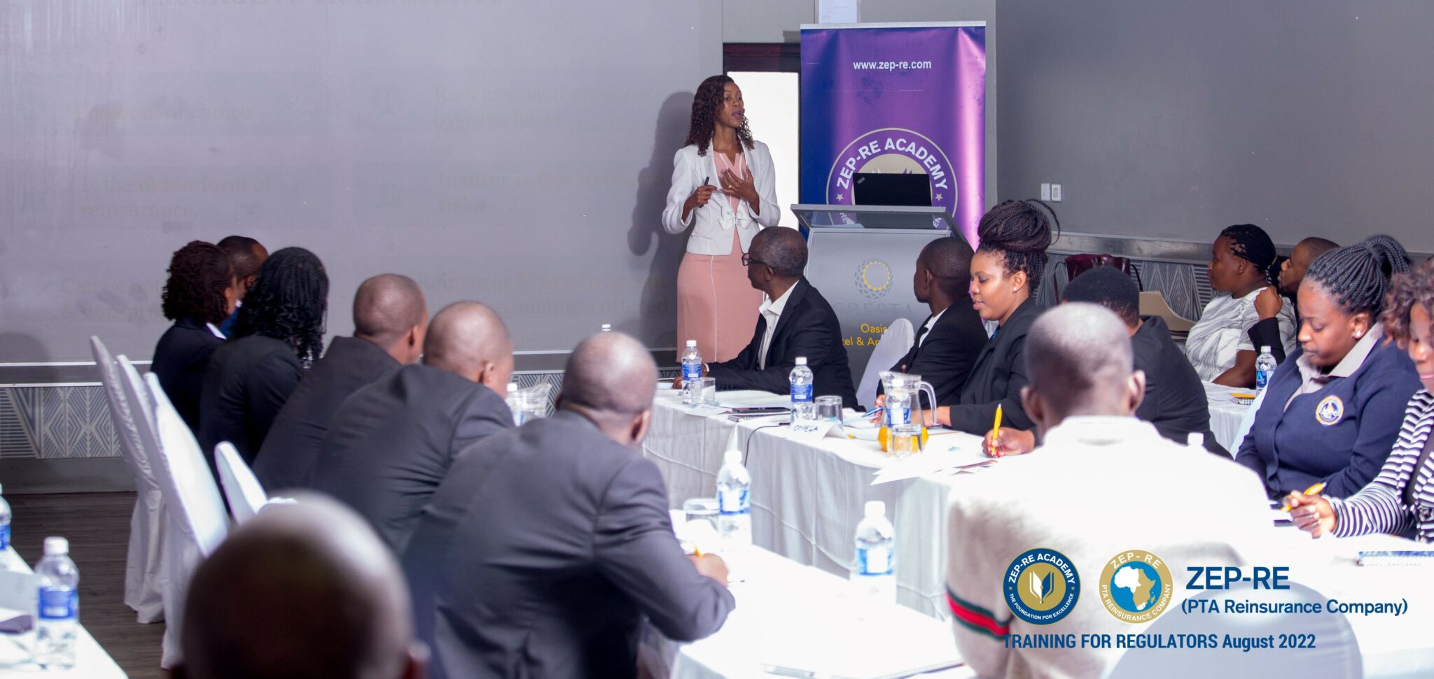 Our Programmes – ZEP-RE